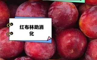 红布林和黑布林的区别_哪个更甜更好吃