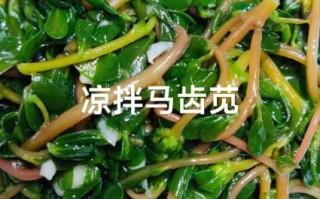 马齿苋凉拌怎么做_马齿苋凉拌需要焯水吗