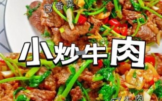 家常炒牛肉怎么才嫩_牛肉嫩滑技巧