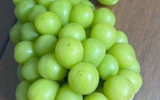 青提子热量是多少_减肥能吃吗