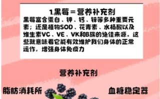 黑莓的功效与作用_黑莓怎么吃最好
