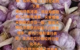 金乡大蒜最新价格_今日多少钱一斤