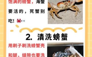 螃蟹的做法最正宗的做法_清蒸大闸蟹步骤