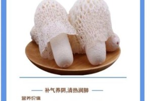 竹荪的功效与作用有哪些_竹荪怎么吃最营养