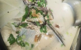 长鱼汤怎么做_长鱼汤的家常做法