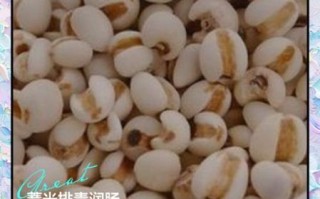 薏米可以天天吃吗_薏米的功效与作用及副作用