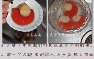 扇贝写作怎么用_扇贝写作收费吗