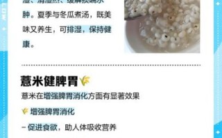 薏米副作用有哪些_薏米禁忌人群