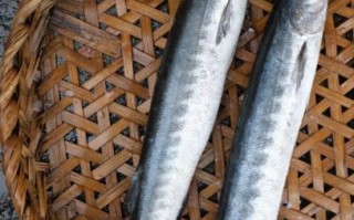 海狼鱼的营养价值及功效_海狼鱼适合什么人吃