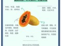 吃木瓜有什么好处_木瓜的功效与作用