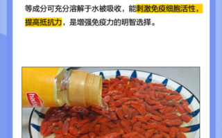 醋泡枸杞的正确做法_醋泡枸杞一天吃多少粒