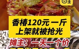 香椿是什么菜_香椿价格是多少