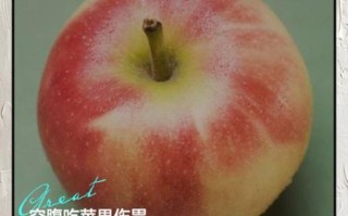 苹果什么时候吃减肥效果好_饭前还是饭后