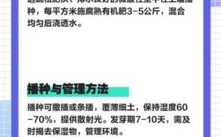 马兰头怎么种_马兰头种植时间