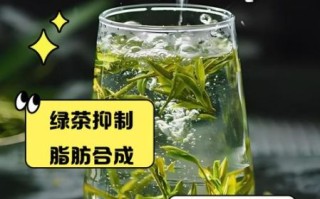 长期喝绿茶能减肥吗_绿茶减肥真相