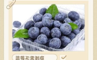 野生蓝莓怎么吃_野生蓝莓的正确吃法