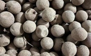 龙眼干的功效与作用_龙眼干怎么吃最补血