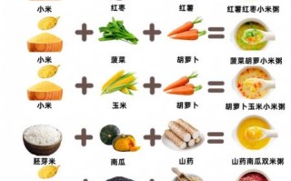 心食谱官方下载在哪里_心食谱APP怎么安装