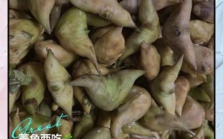 水煮菱角煮多长时间熟_怎么判断菱角熟了没