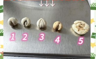 川贝和川贝母一样吗_川贝与川贝母区别