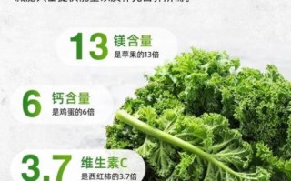 羽衣甘蓝粉可以每天喝吗_长期饮用副作用