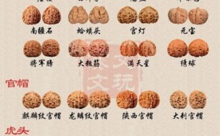 中国核桃哪个品种最好吃_四大名核口感排名
