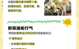 野蒜为什么有毒_野蒜中毒症状