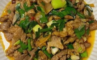 青蒜炒肉怎么炒好吃_青蒜炒肉做法大全
