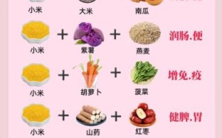 健脾养胃的食物有哪些_吃什么最养胃健脾