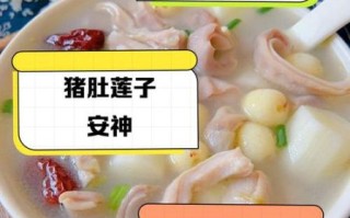 猪肚莲子汤怎么煲_猪肚莲子汤的做法窍门