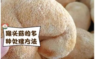 鲜猴头菇怎么处理不苦_猴头菇去苦味技巧