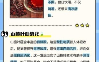 野山楂叶的功效与作用_野山楂叶怎么泡水喝