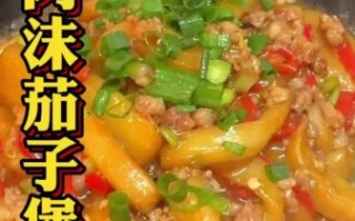 茄子炖肉的家常做法_茄子炖肉怎么做好吃