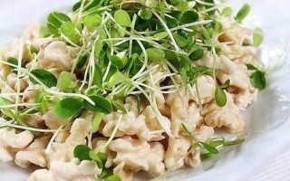 核桃仁凉菜怎么做_核桃仁凉菜有哪些做法