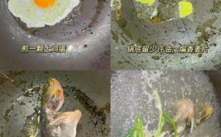 昂公鱼汤怎么炖不腥_昂公鱼汤做法步骤详解