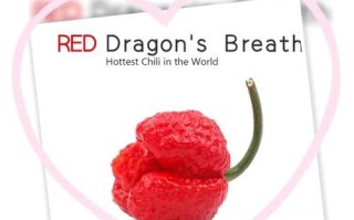 吃龙息辣椒会死吗_龙息辣椒致死案例