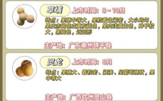 桂圆造句二年级_怎么用桂圆写句子