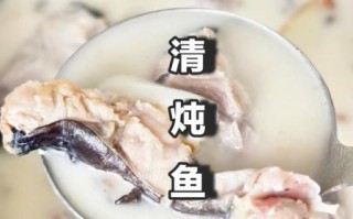 炖白鲢鱼的家常做法_白鲢鱼怎么炖不腥