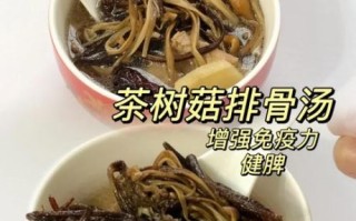 茶树菇排骨汤的做法_茶树菇排骨汤功效与禁忌