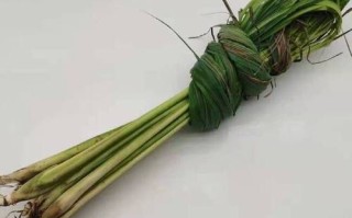 香茅草多少钱一斤_香茅草价格走势