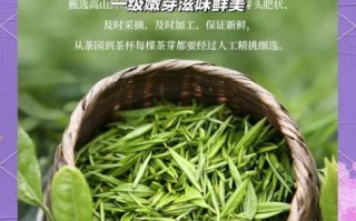 雨花茶属于哪种茶_雨花茶是绿茶吗