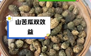 苦瓜降血糖真的有用吗_苦瓜哪些人不能吃