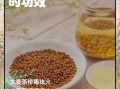 日本大麦茶的功效与作用_大麦茶能减肥吗