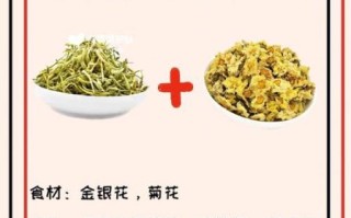金银花怎么泡水喝_金银花泡水喝的正确方法