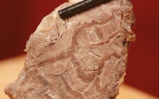 怎样酱驴肉_驴肉怎么做好吃