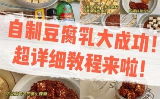 豆腐乳的制作方法_家庭自制豆腐乳怎么做