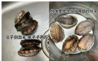 鲍鱼内脏在哪个部位_如何安全去除鲍鱼内脏