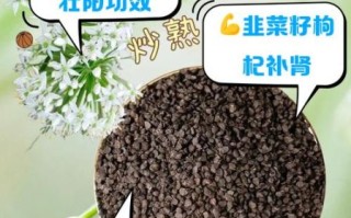 韭菜籽壮阳偏方_韭菜籽怎么吃最补肾