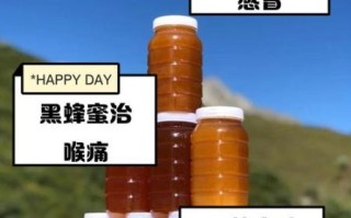 黑蜂蜜的作用与功效_黑蜂蜜怎么吃效果最好