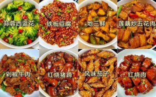 家常菜谱大全_15道经典做法怎么做